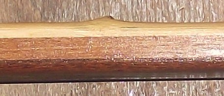 Trilam longbow - PaleoPlanet